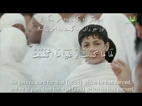 Last Two Ayats of Surah Bakarah against Sahir / Jadoo / Fitna ad dajjal ( Repeat for over 2 hours )