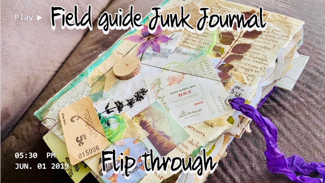 Field guide junk journal flip through - YouTube