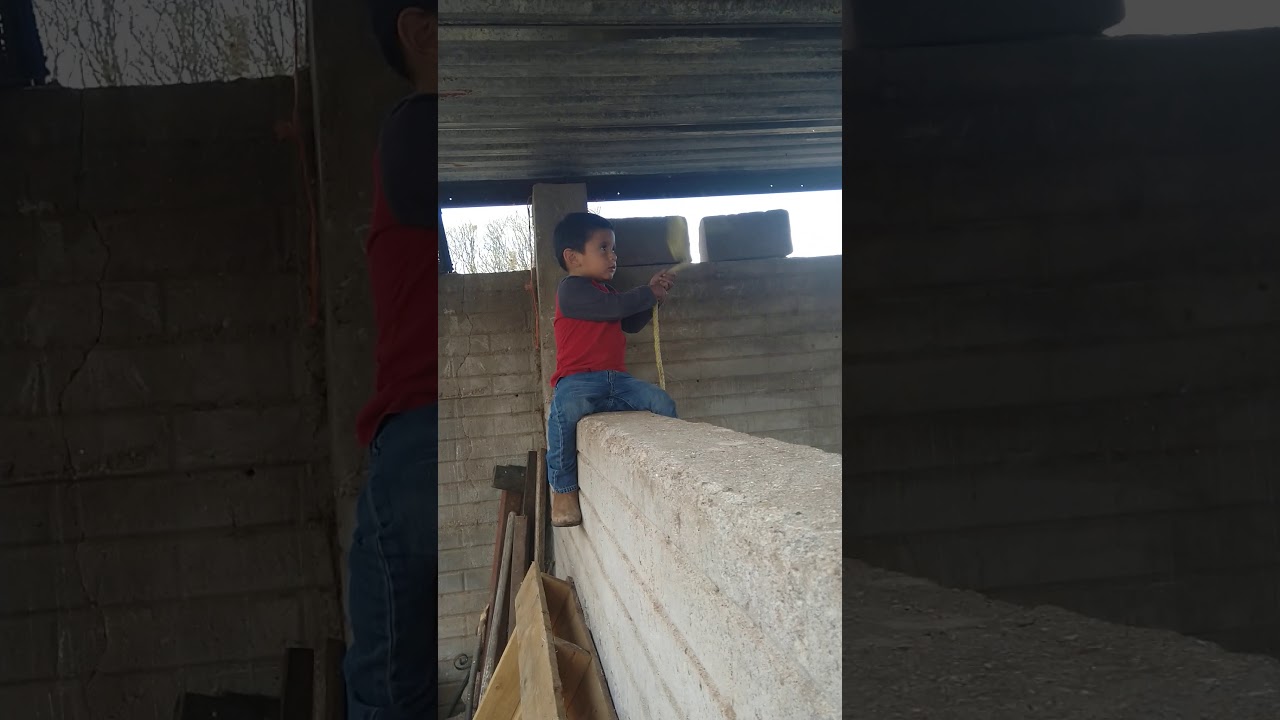 Jason , vacas feas,,oh bonita,oh bonita.🐮🤣🤣🤣 - YouTube