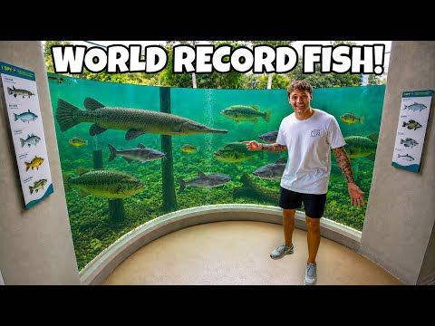 This AQUARIUM was FILLED with RECORD FISH!! (fish hatchery tour)