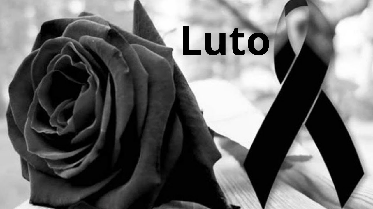 As 5 fases do luto - YouTube