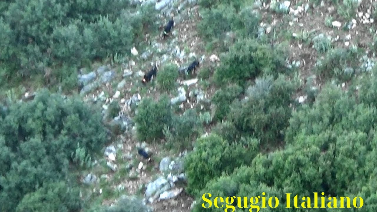ΜΑΚΡΙΝΟΣ ΝΤΟΡΟΣ ΚΑΙ ΕΝΑ ΩΡΑΙΟ ΣΗΚΩΜΑ ΜΕ ΙΤΑΛΙΚΟΥΣ ΙΧΝΗΛΑΤΕΣ - YouTube