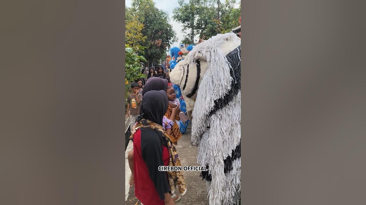 lagi asik nonton dede bayi sama emak nya hampir di gigit can macanan - YouTube