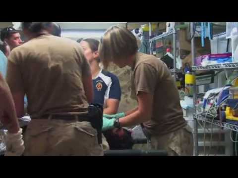 Canadian Forces - Medical Technician - YouTube