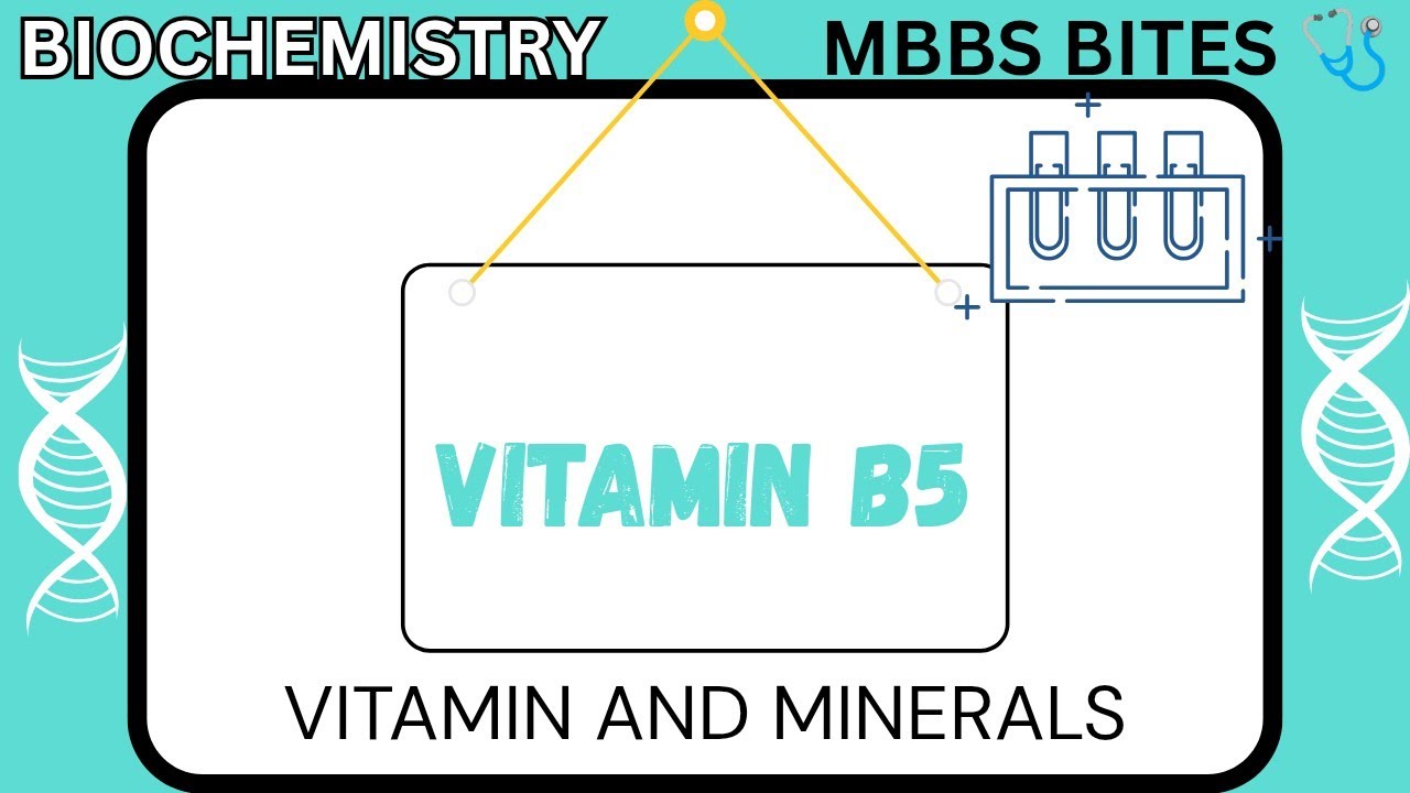 Vitamin B5 || Biochemistry - YouTube