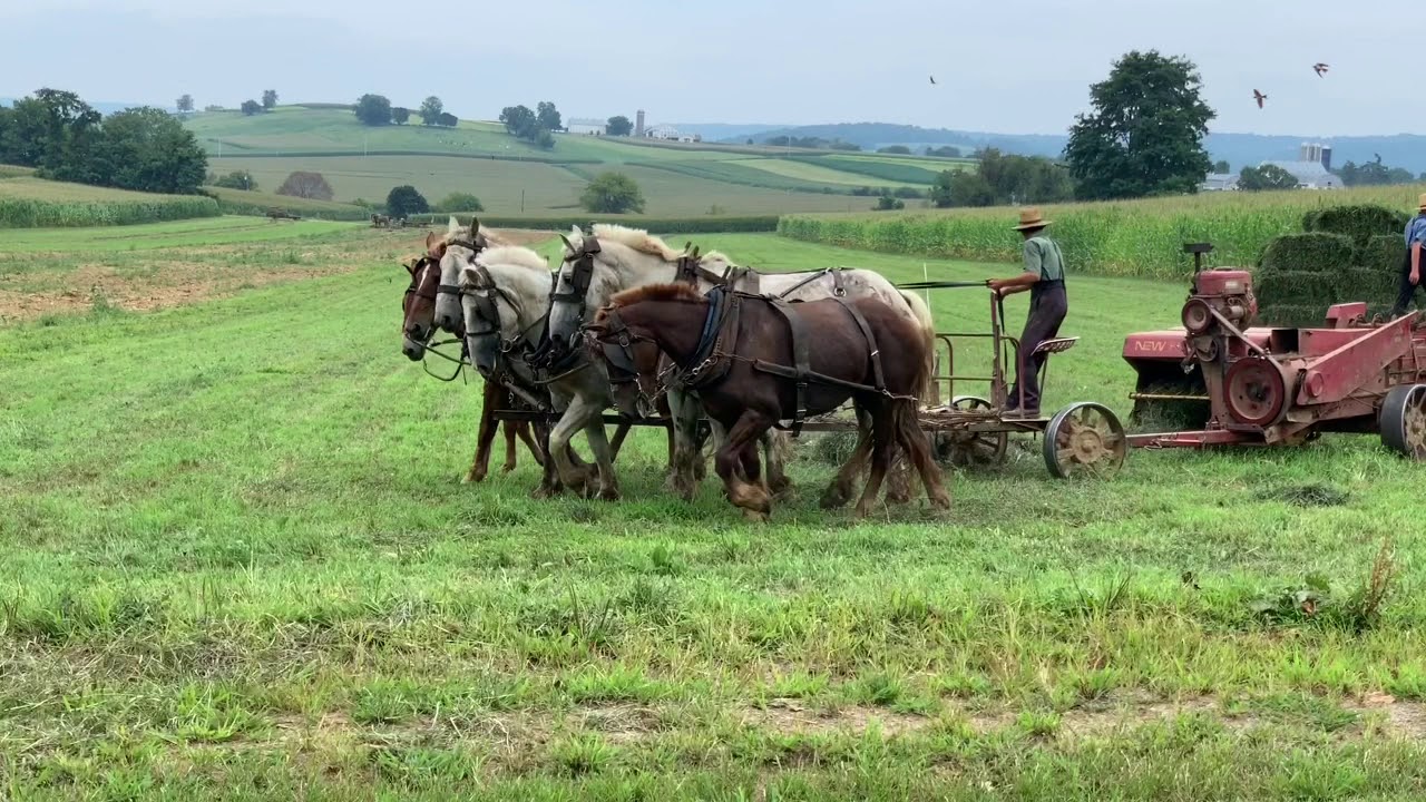 MAKING HAY - YouTube