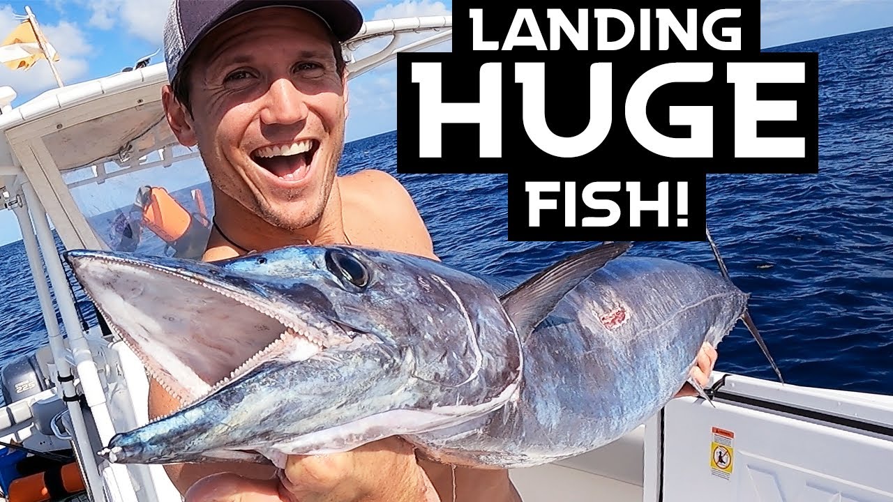 Toughest Fish to SPEAR! | Wildest Wahoo Hunts Ever! Catch n Cook - YouTube