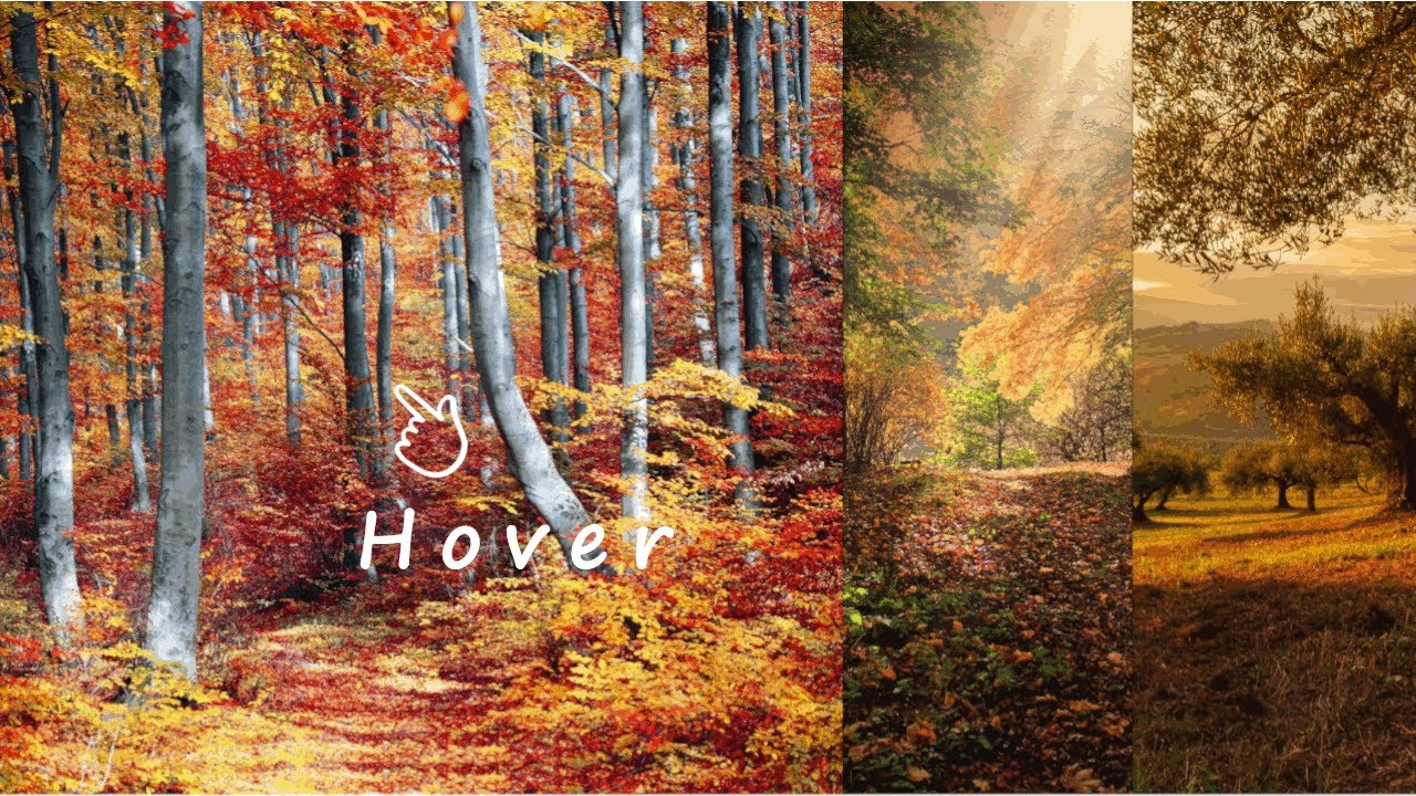 Master the Art of Image Hover Slider Effect : HTML & CSS Tutorial - YouTube