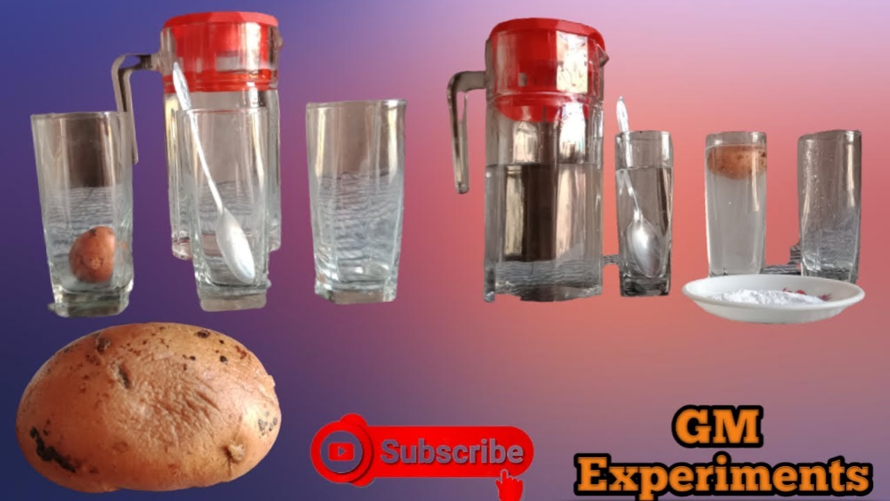 Water density experiment new | Potato/Egg experiment | salt water ...
