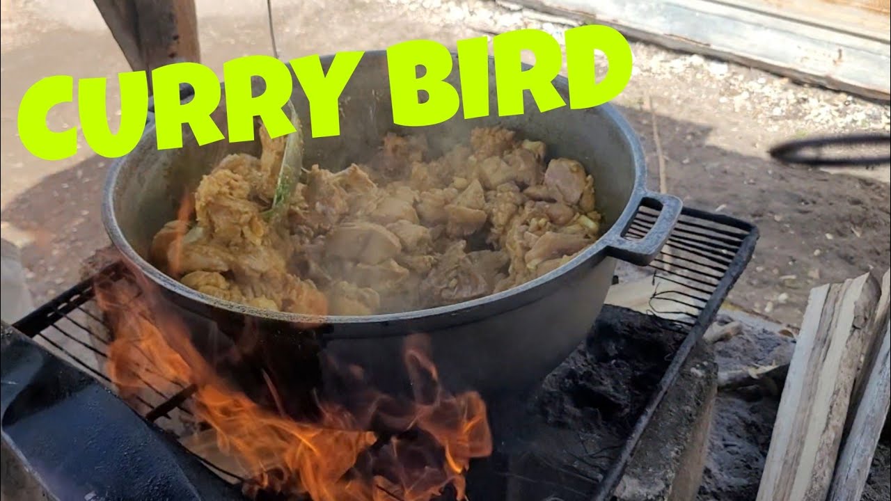 CURRY BIRD/ WHITE RICE ON THE BEACH!!! MAD TING - YouTube