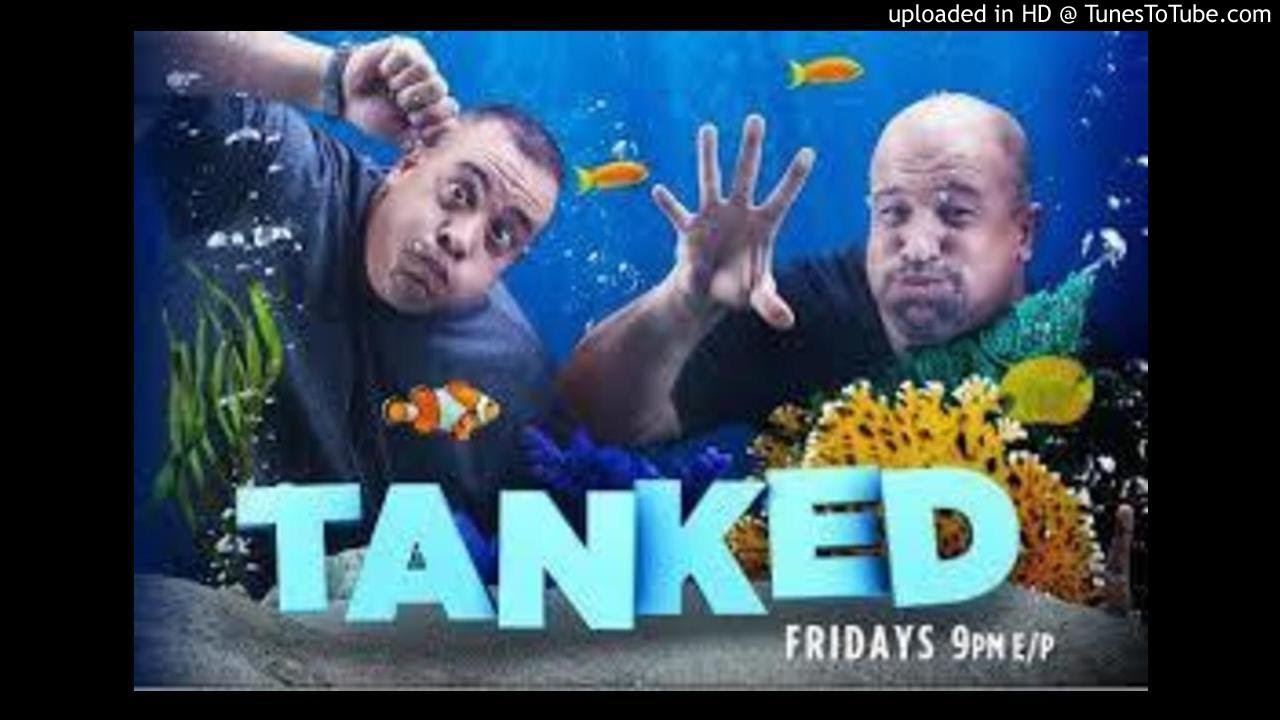 Interview with Wayde King From Animal Planet's Tanked - YouTube