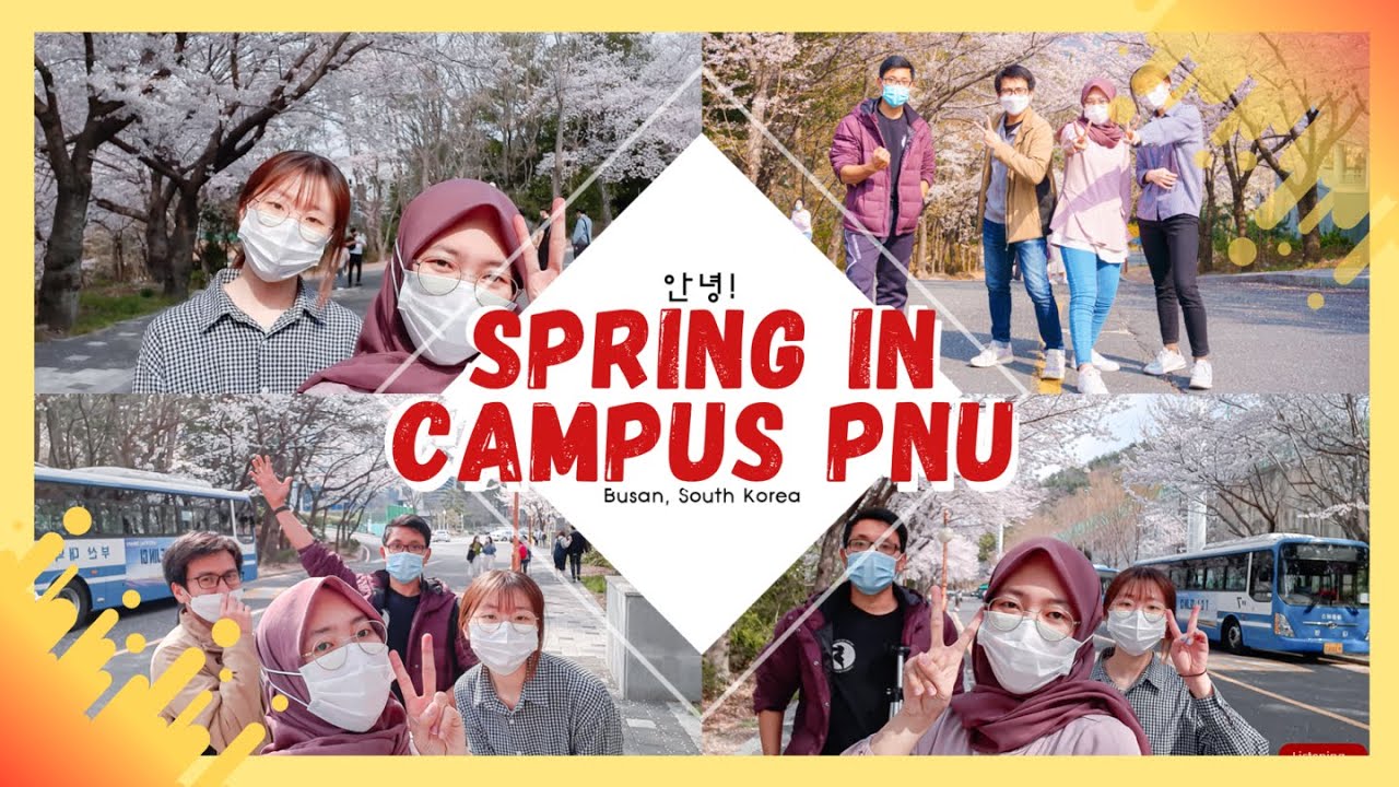 KAMPUS PUSAN NATIONAL UNIVERSITY (PNU) #SPRING EDITION | BUSAN, SOUTH ...