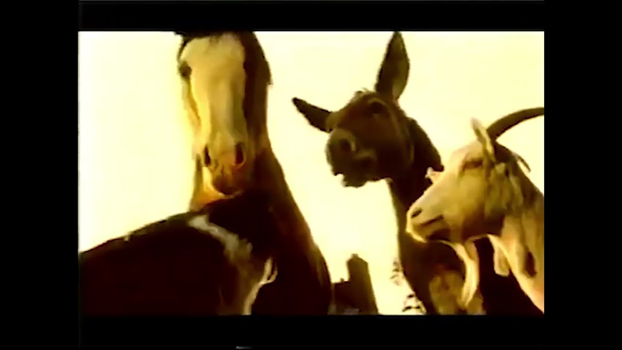 Animal Farm TNT TV Movie Special Preview (1999) - YouTube