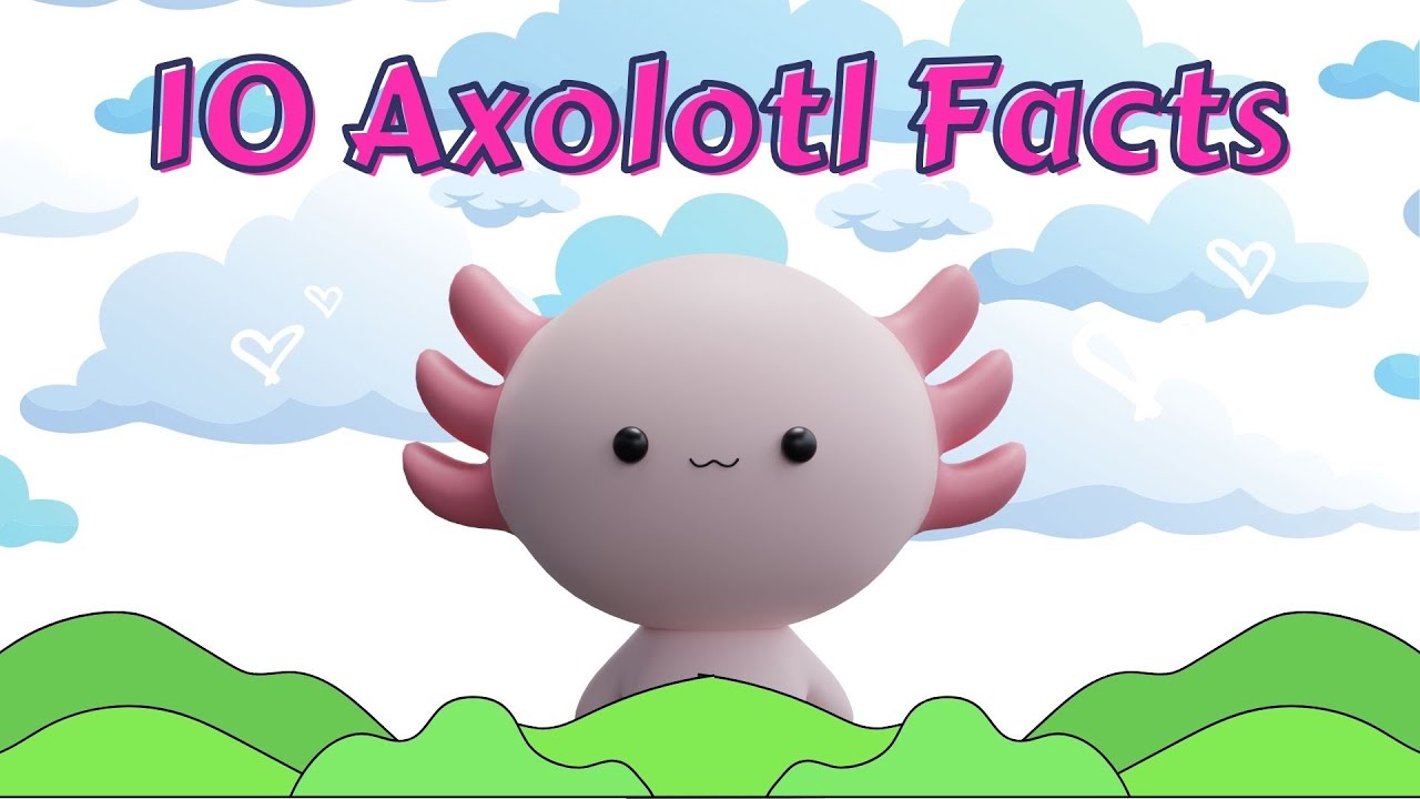 10 Axolotl Facts! Learning about animals is FUN! - YouTube