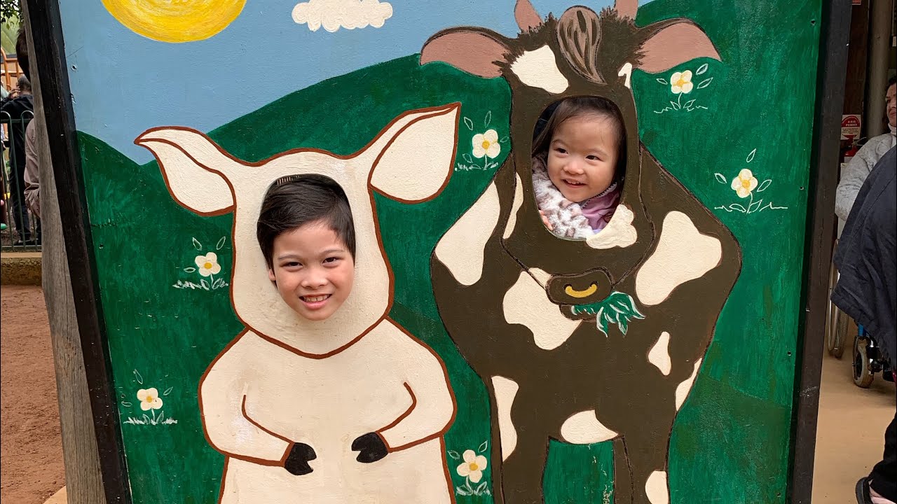 What to do in Swan Valley: Cuddly Animal Farm #kids #familytime #perth ...