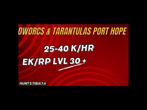 Tibia 7.4: Onde Caçar com EK/RP/MAGE 30+ nos Dworcs e Tarantulas em ...
