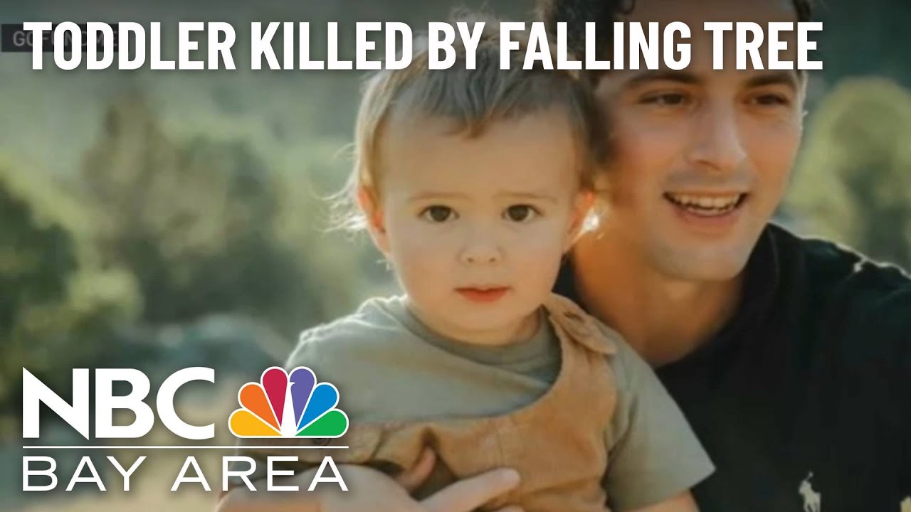‘In Shock': Family Remembers 2-Year-Old Boy Killed by Falling Tree in ...