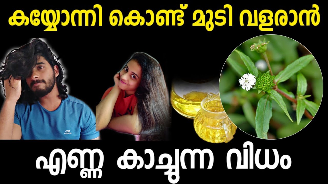 How To Make Kayyonni Hair Oil Malayalam Bhringaraj Hair Oil Home how-to-make-kayyonni-hair-oil-malayalam-bhringaraj-hair-oil-home