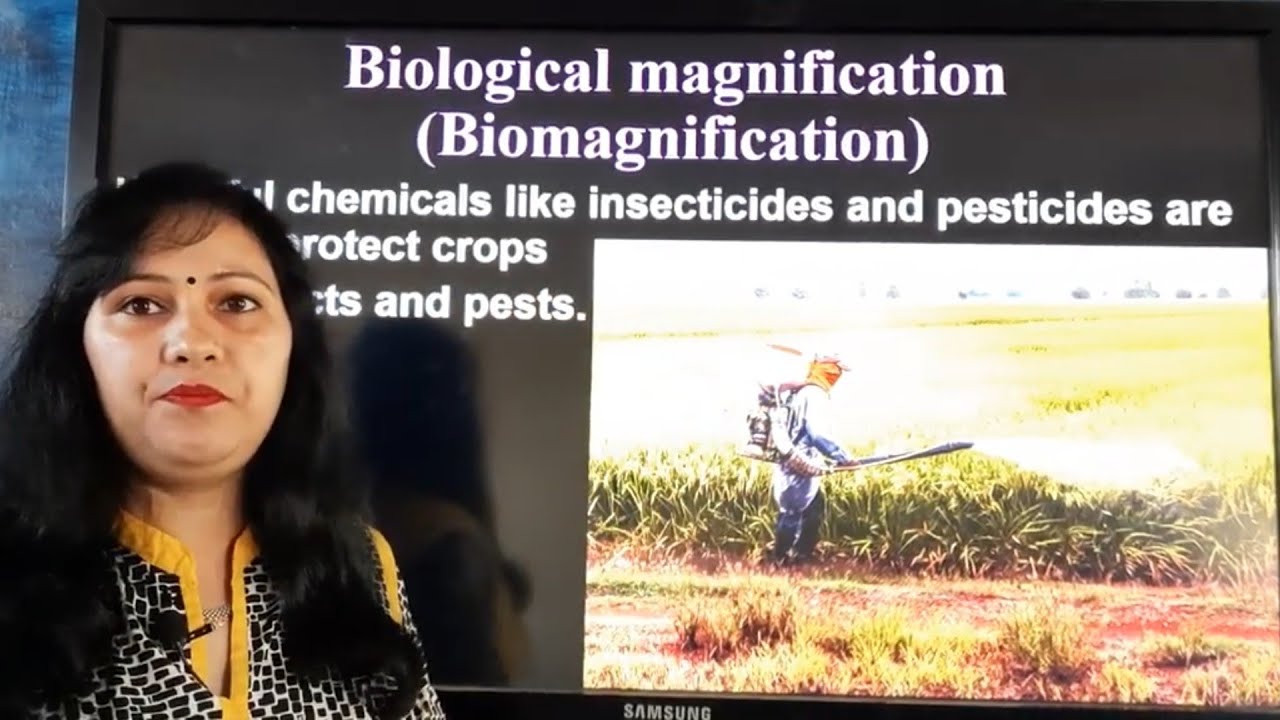 Biomagnification Class 10 Chapter Our Environment YouTube biomagnification-class-10-chapter-our-environment-youtube