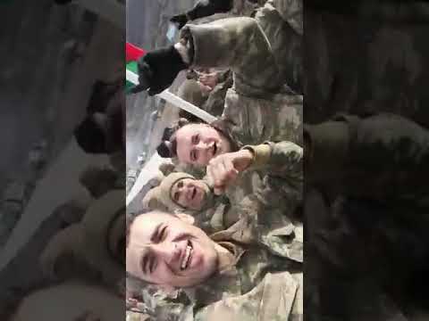 Zaqatala canavarları Saxurlar...🐺