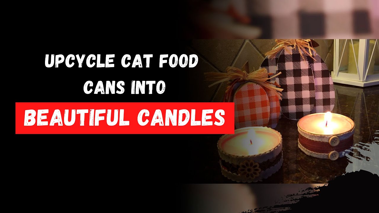 How To Make Luxury Candles From Cat Food Cans - YouTube