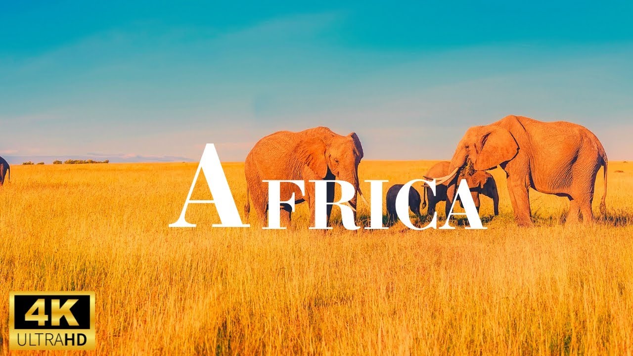 Discover the Untamed Beauty of Africa: A 4K Journey Through Africa ...
