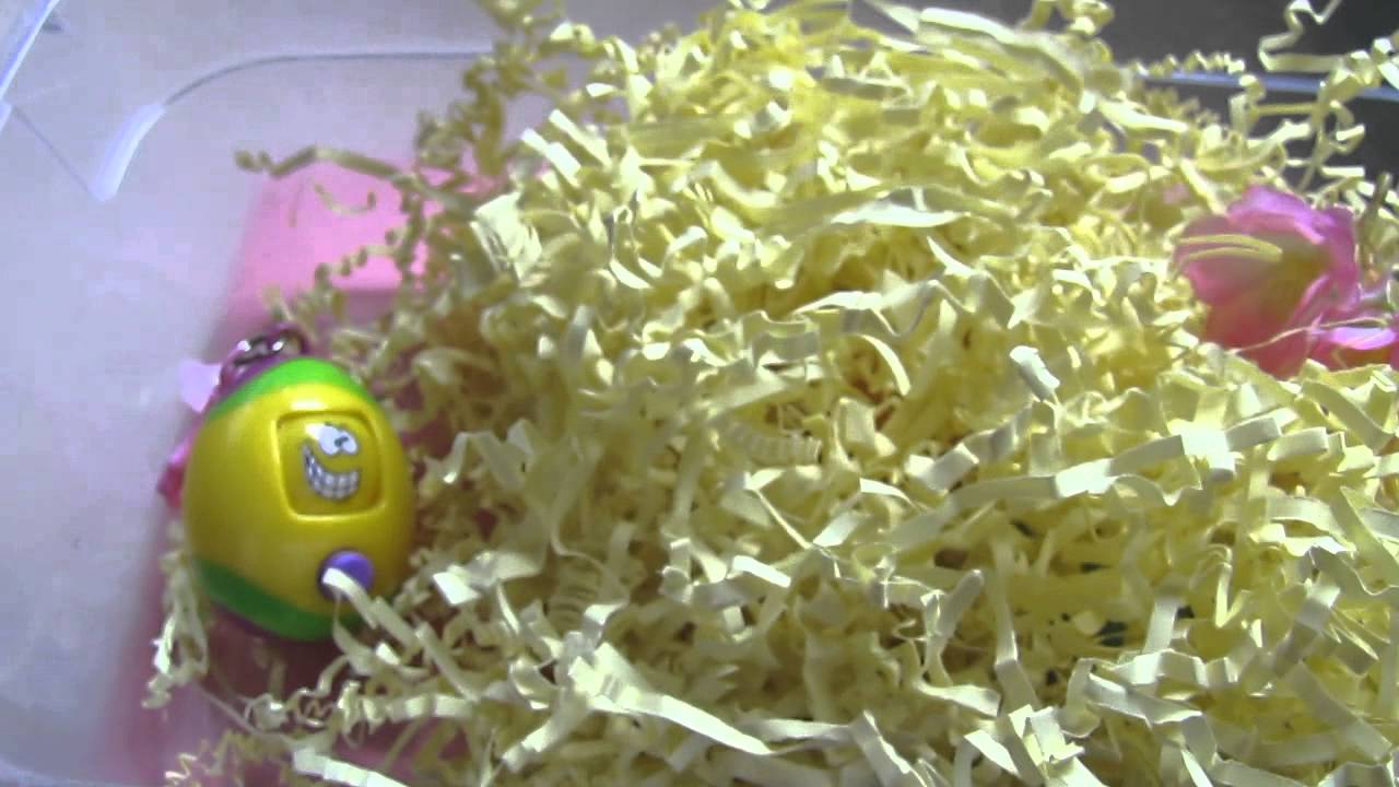 Spring Sensory Box - YouTube
