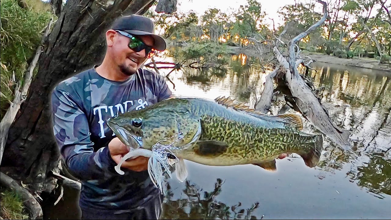 MURRAY COD ON FOOT. - YouTube