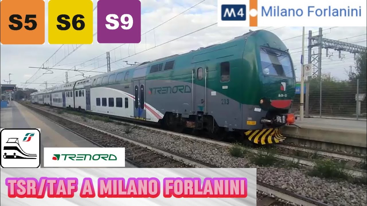 🚉 TAF e TSR nella stazione di MILANO FORLANINI sulle linee 🟠 S5, 🟡 S6 e ...
