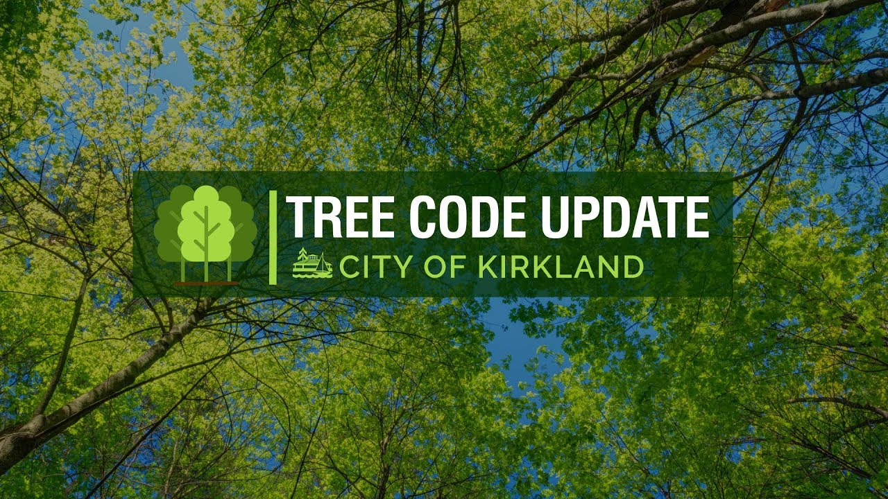 Tree Code Update Introduction YouTube tree-code-update-introduction-youtube