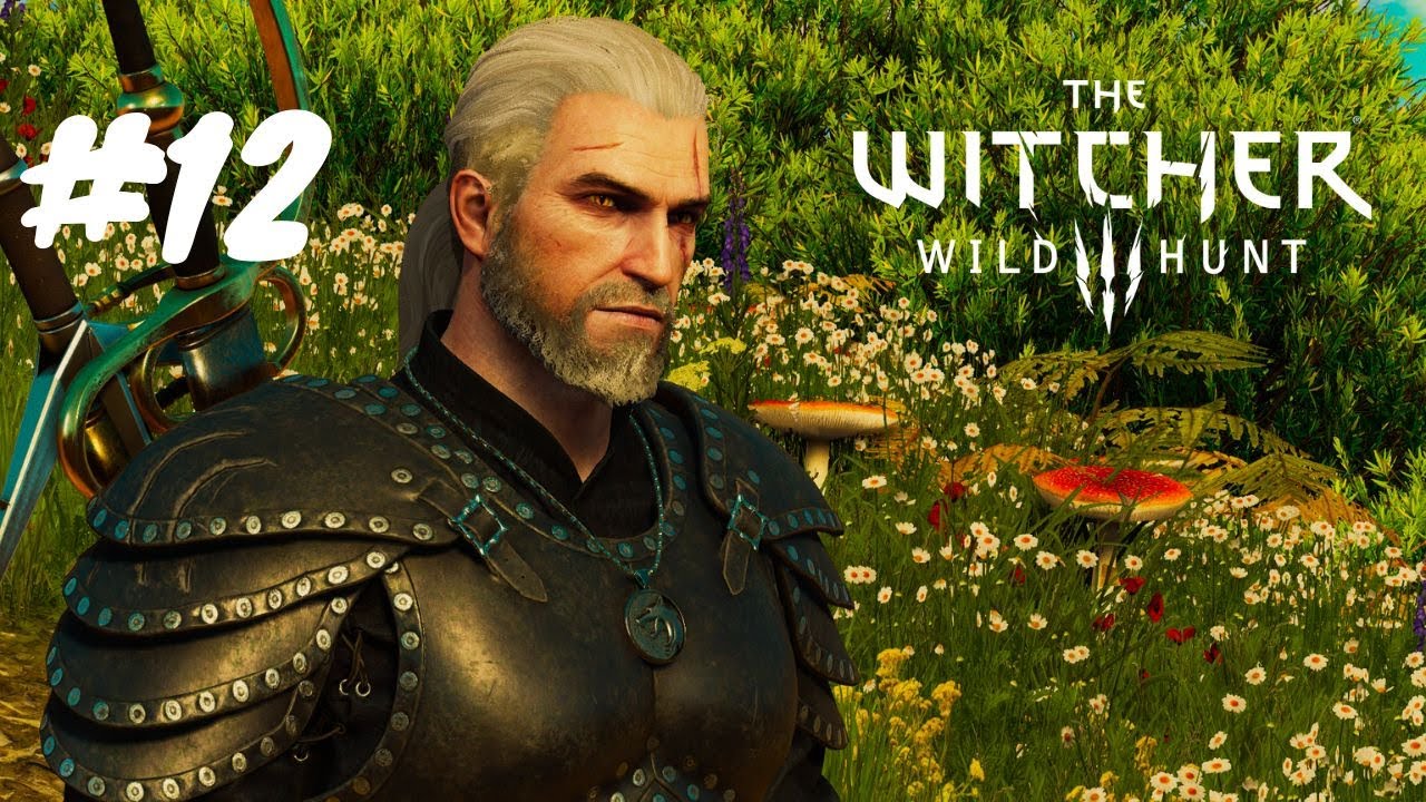 WITCHER 3 WILD HUNT PC Walkthrough Gameplay Part 12 (No Commentary ...
