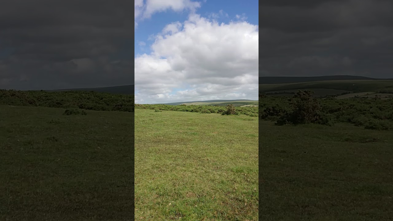 Between Burrator Reservoir Waterfall & Yennadon Stone 5th July 2020 ...