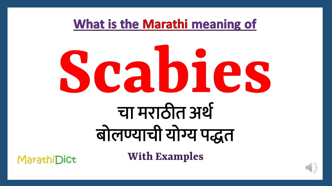 Scabies Meaning In Marathi Scabies Scabies In Marathi scabies-meaning-in-marathi-scabies-scabies-in-marathi