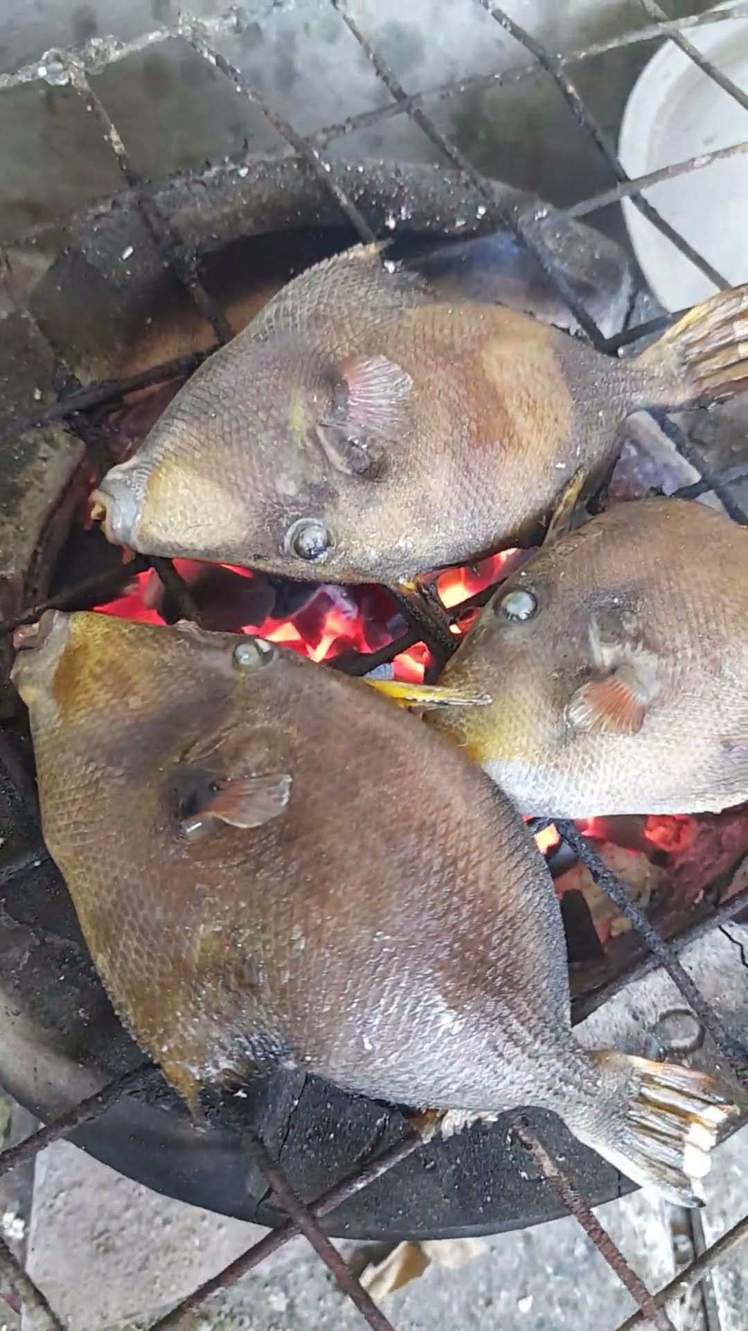 #Inihaw na pugot Fish#yummy inihaw na pugot - YouTube