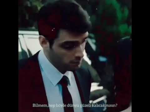 WhatsApp üçün qısa yazılı videolar #wpucun#2021#yazilivideolar#maqa