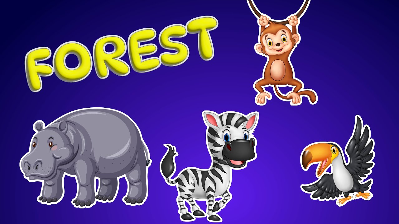 Fun Forest Adventure | Can You Spot the Animals? | Interactive Kids ...