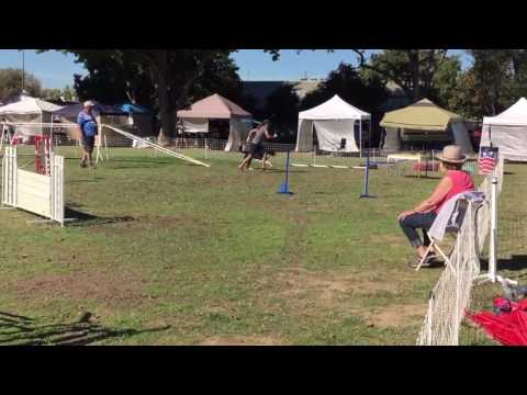 HotShot Master STD Del Valle 10/20/16