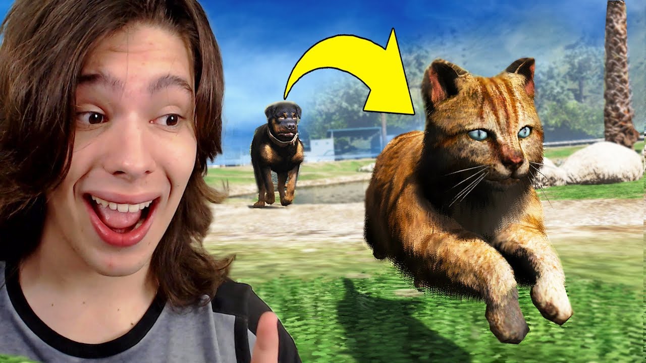 JOGANDO GTA 5 COMO UM GATO!! (Incrível) - YouTube