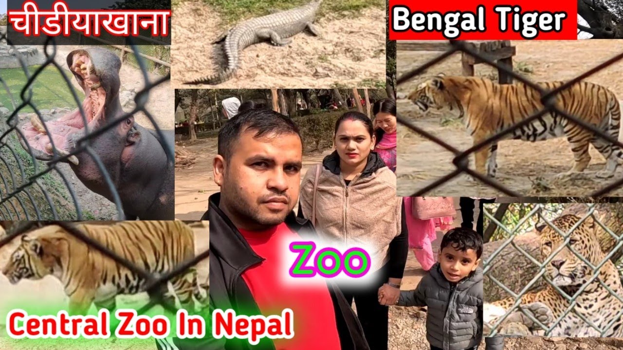 Nepal Zoo Visit | Central Zoo Kathmandu Jawlahhel | Zoo Animals For ...