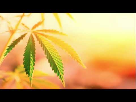 RASTAZEN & CO 02 / RAGGA JUNGLE DRUM N BASS MIX / KOJT SOUND