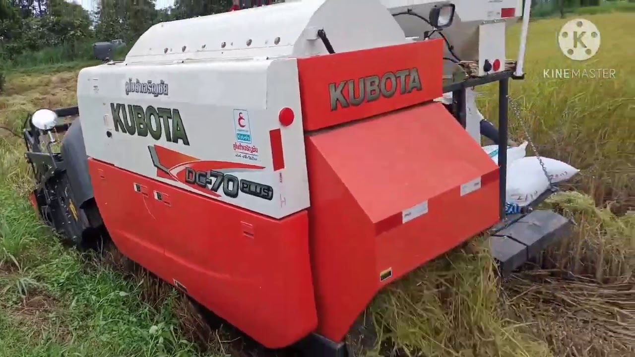 อยู่กับรถเกี่ยวคูโบต้า DC-70 plus เกี่ยวข้าวนาปี - YouTube