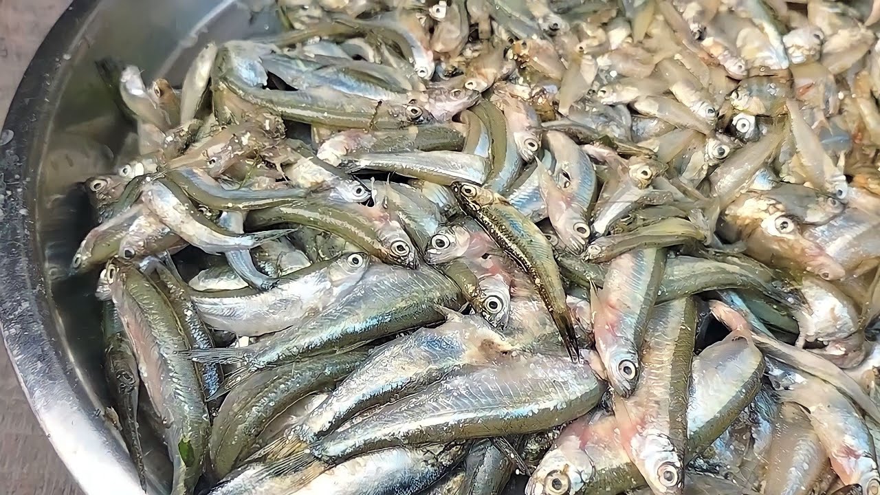 छोटी मछली बनाने के आसान तरीके ll swad भूल ना पाएंगे small fish 🐠 curry ...