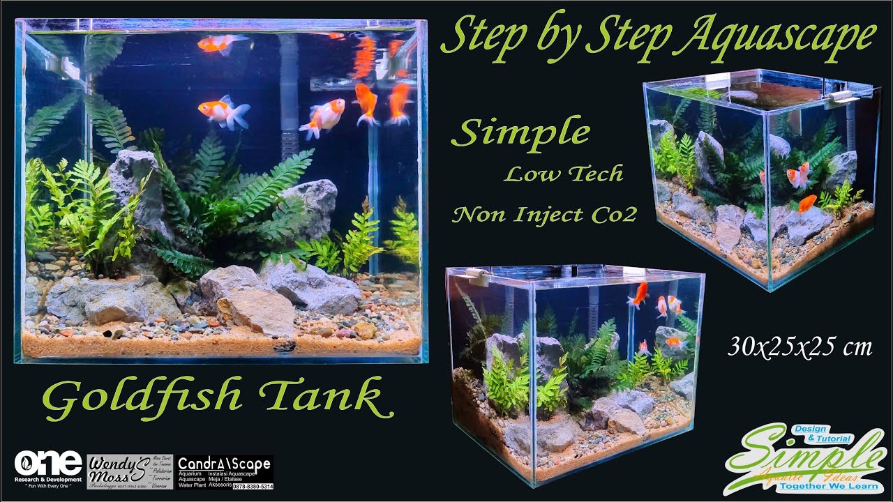 Step by Step Simple Low Tech Aquascape 30 cm Untuk Baby Goldfish #153 ...
