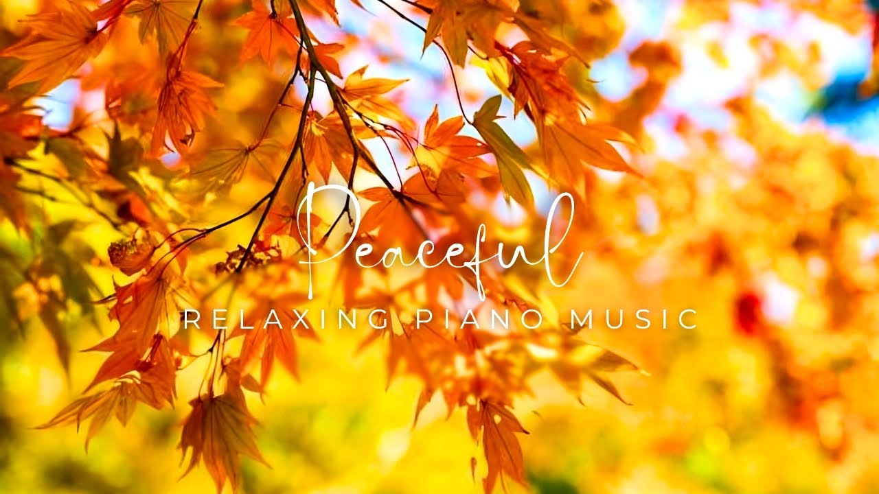 Peaceful Piano Music 🍃 Sleep Music, Stress Relief, Insomnia, Heal Mind ...