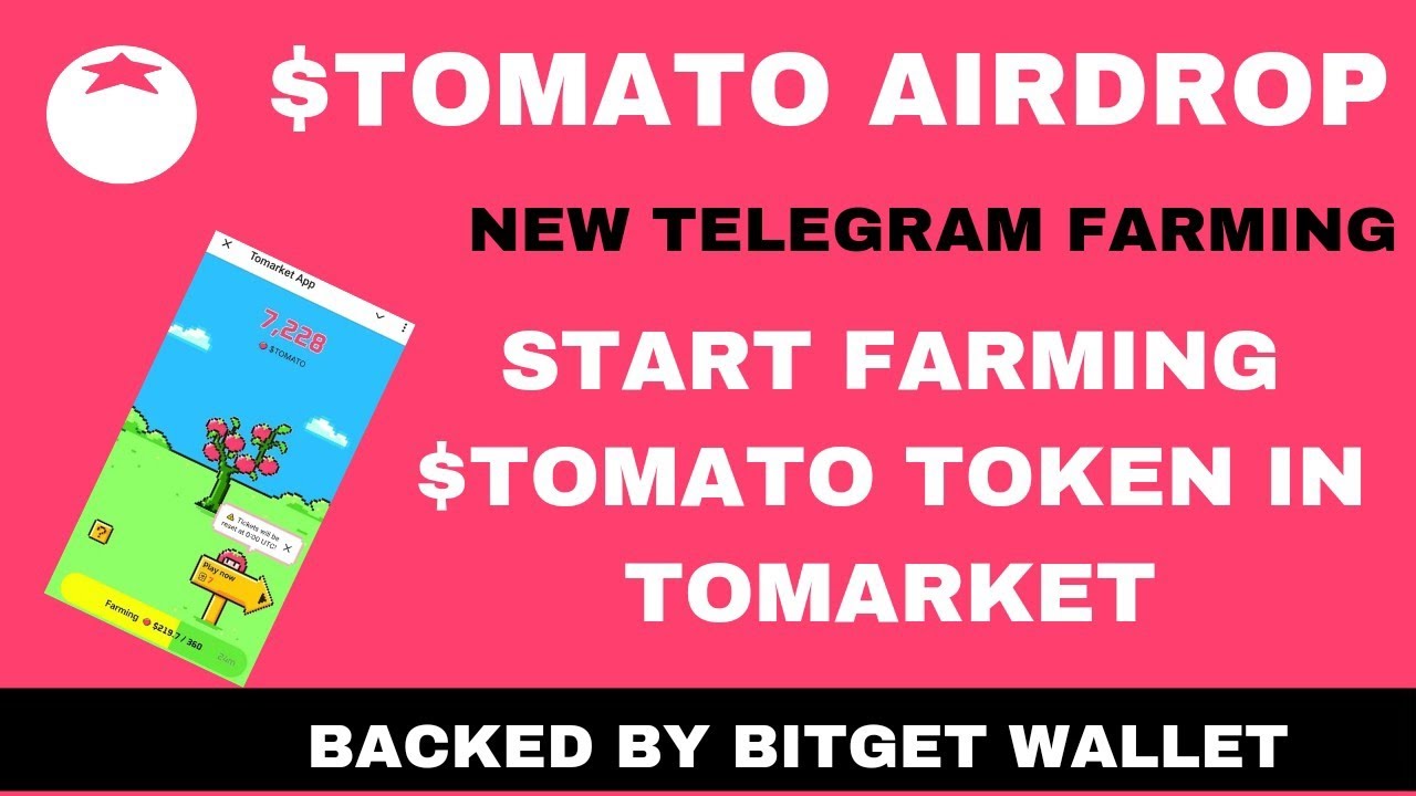 HOW TO START FARMING $TOMATO TOKEN IN TOMARKET || BACKED BY BITGET ...