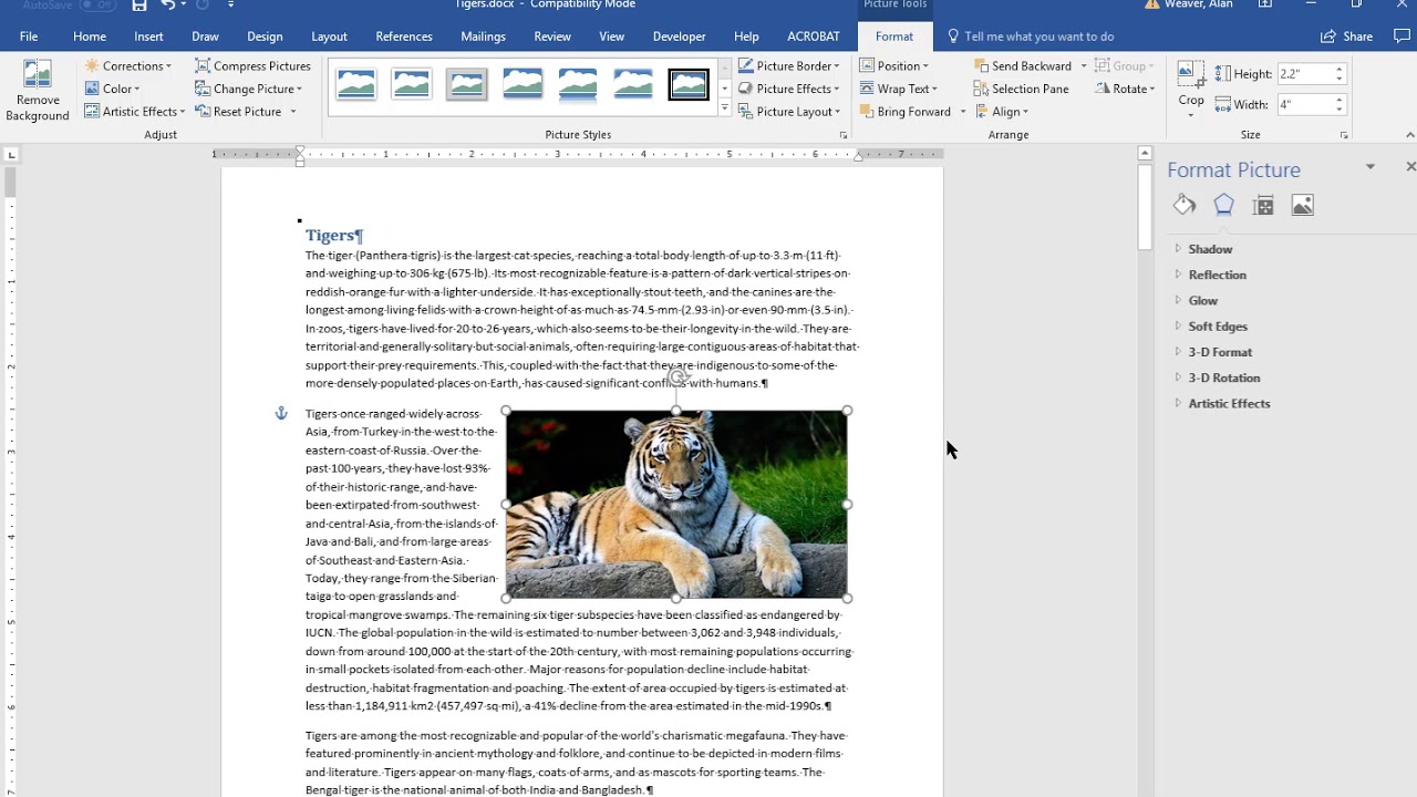 Position and size images Word 2016 - YouTube