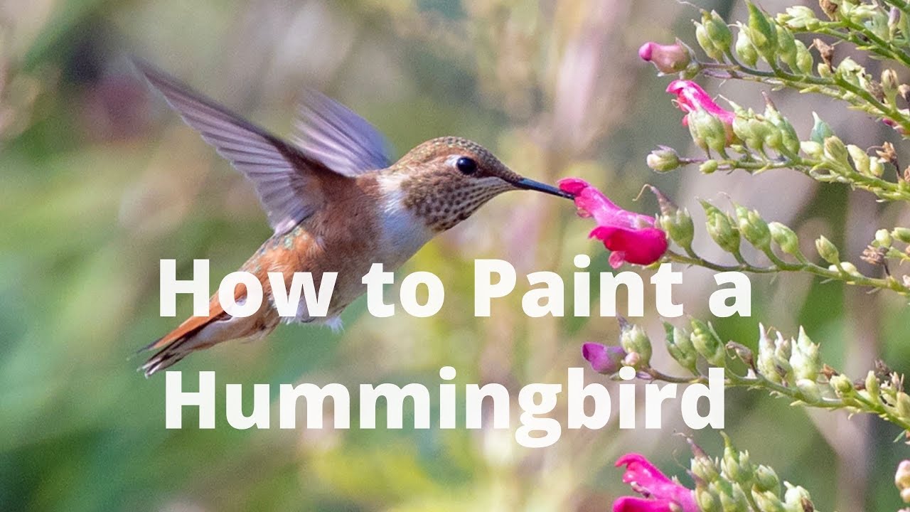 Painting a Hummingbird with Krista Eaton - YouTube