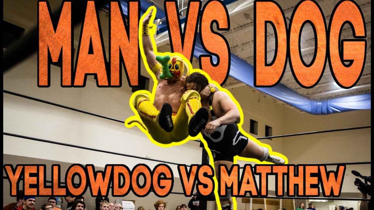 Yellow Dog vs Matthew | RUGGEDmania | 03/07/2020 - YouTube