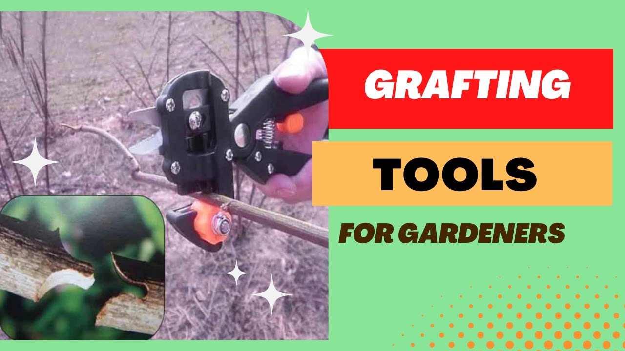 Grafting Tools #grafting knife #cuttingtool #grafter - YouTube