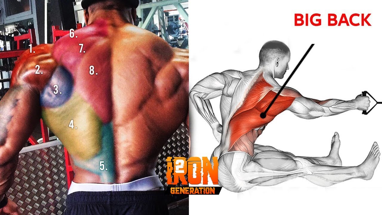 Full Exercise Back for GIT Wide Back | Best Back Workout |Bodyweight ...